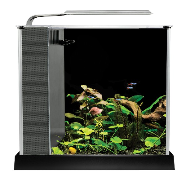 Aquarium équipé Fluval Spec, noire, 10 L (2,6 gal US) | BOUTIQUE D ...
