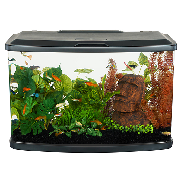 Aquarium équipé Fluval Vista, 60 L (16 gal US) | BOUTIQUE D’ANIMAUX ...