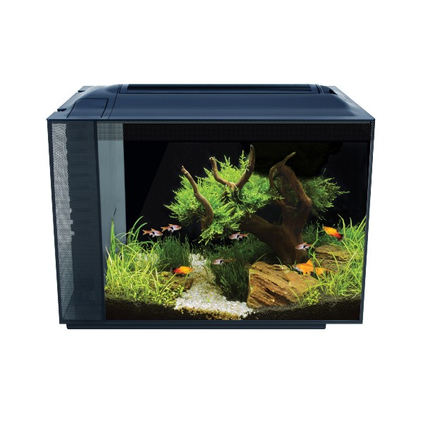 Aquarium équipé Fluval Spec , noire, 60 L (16 gal US) | BOUTIQUE D ...