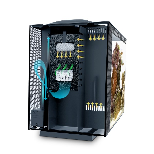 Aquarium équipé Fluval Spec , noire, 60 L (16 gal US) | BOUTIQUE D ...